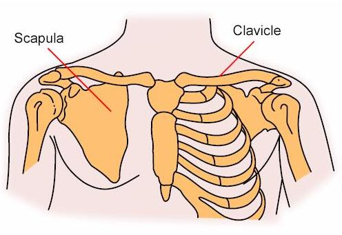 Ex-SMGRian 1991: Derita tulang bahu terkehel