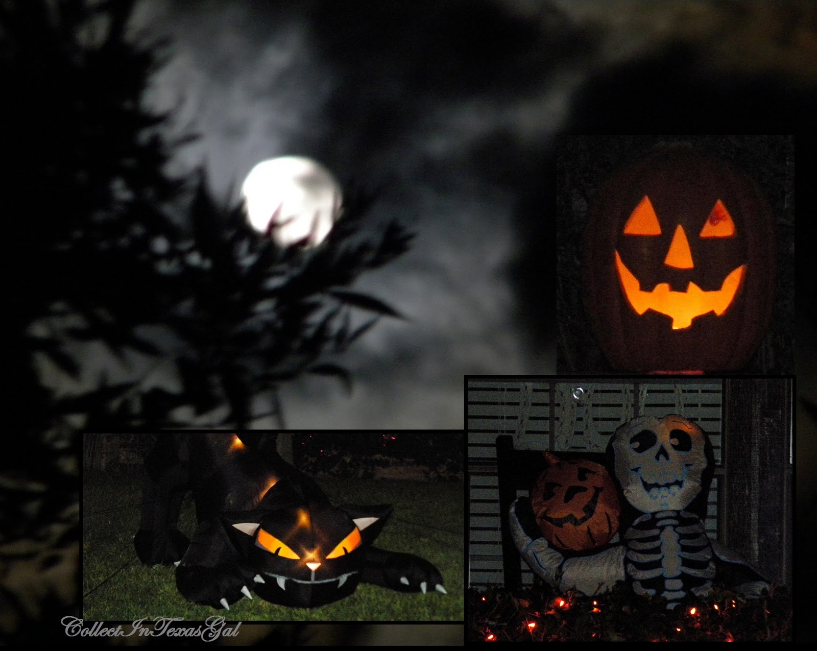 CollectInTexas Gal PhotoBlog: SPOOKY....Friday ShootOut!!!