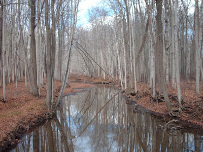 Coldstream Conservation Area (Visual Tour) – Chase March – Official Site