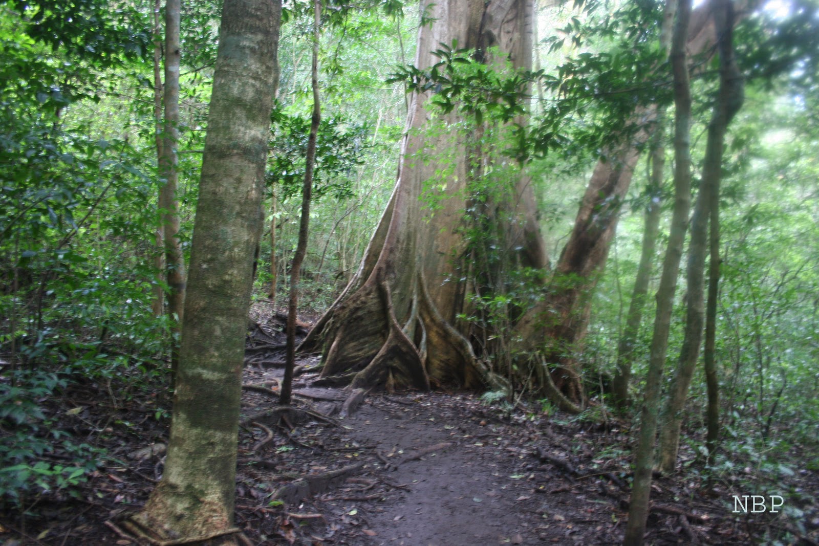 Off to Costa Rica - National Biodiversity Parks