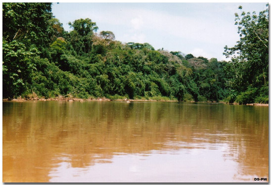 Las áreas naturales protegidas en el Perú: Parques Nacionales