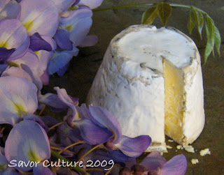 Chez Loulou: La Fête du Fromage - April Round Up