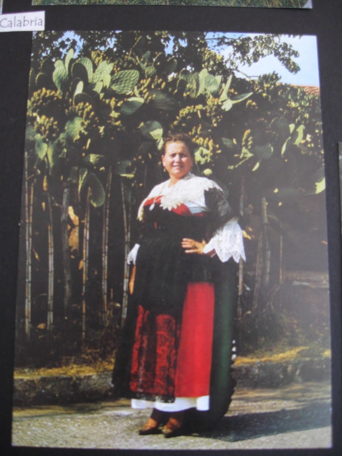 The Cup That Cheers: New costume idea (someday!): traditional costume ...