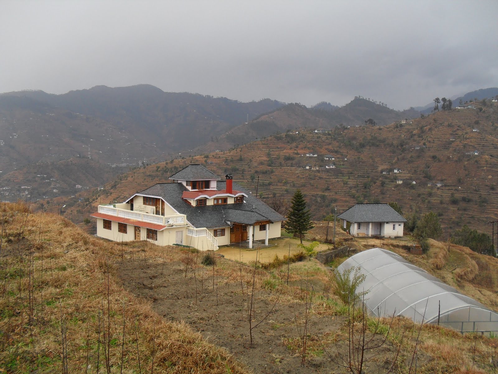 Farmers Collective: Kalasan Nursery Farm, a view.