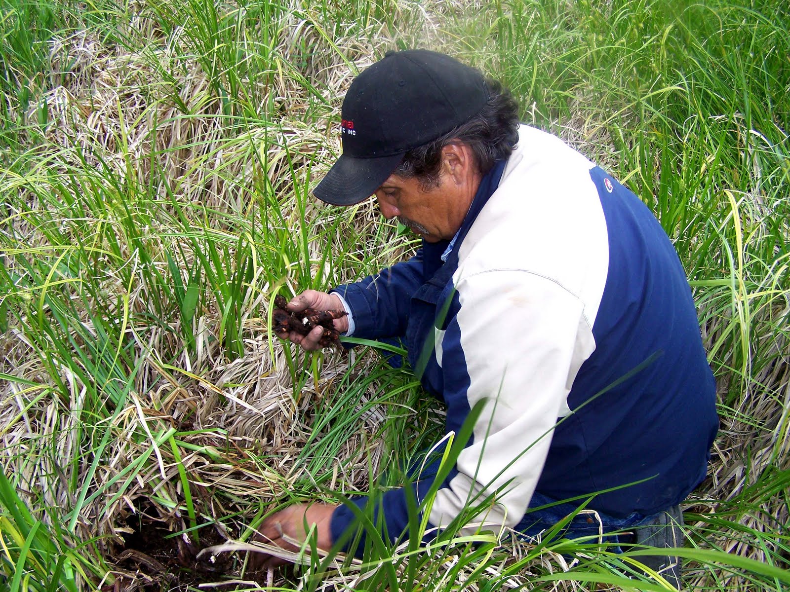 רפואה אינדיאנית: כוחות המרפא של ווילי: חלק א'