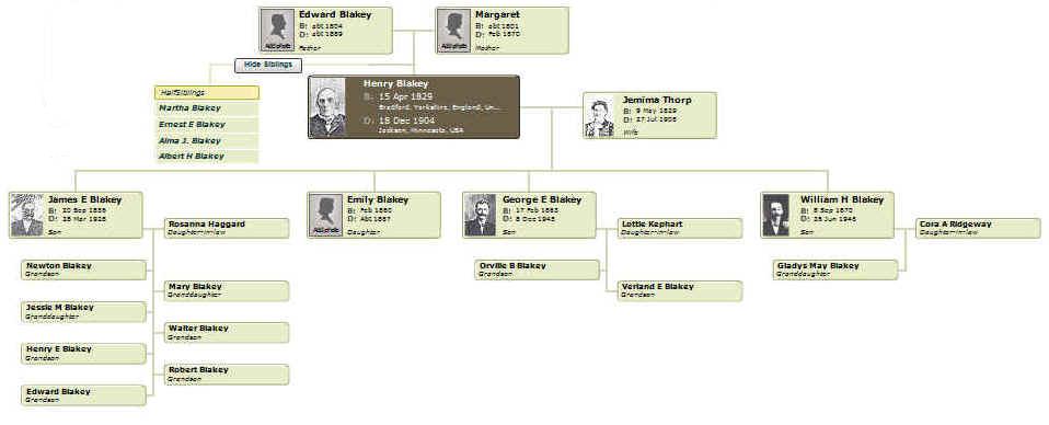 A Blakey Blog: Henry BLAKEY Descendants Diagram