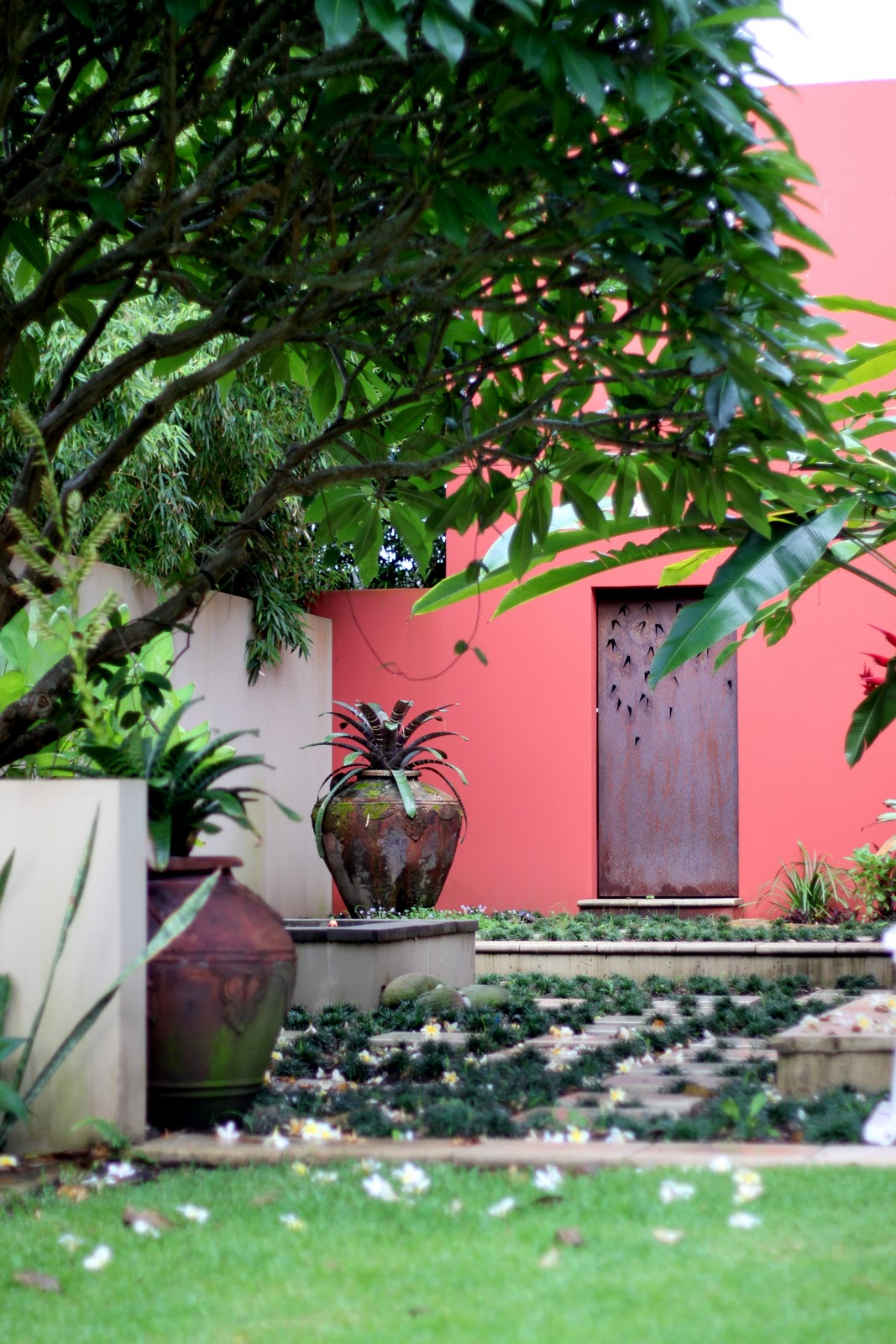 green been: claudia nevell, garden expressions