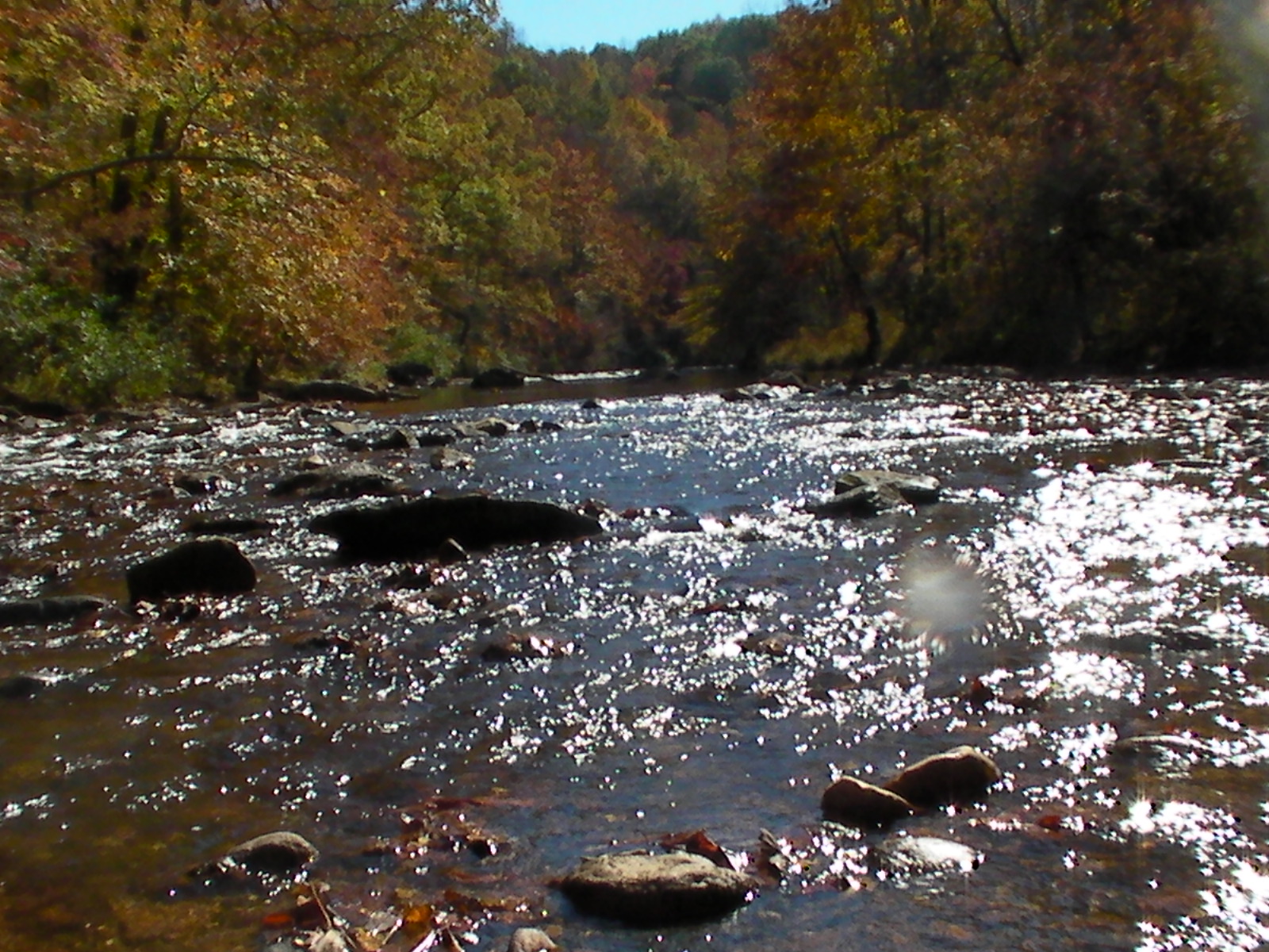 Stream Habitat Management: From highly degraded to nearly pristine ...