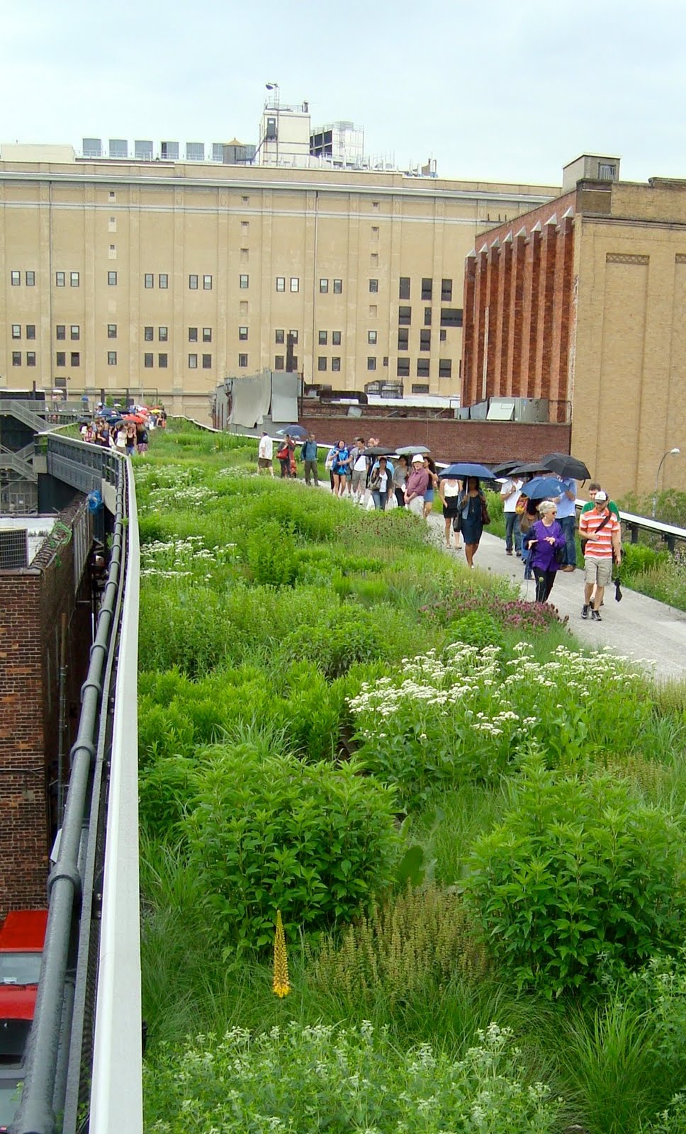 Queer New York: Highbridge Park Update