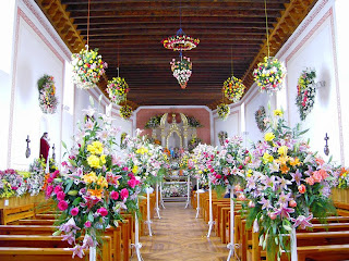 OASISBROTHER: El rumbo es michoacán IV