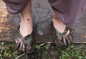 Photo Journal: Swamp Walk - Muck About - 2008