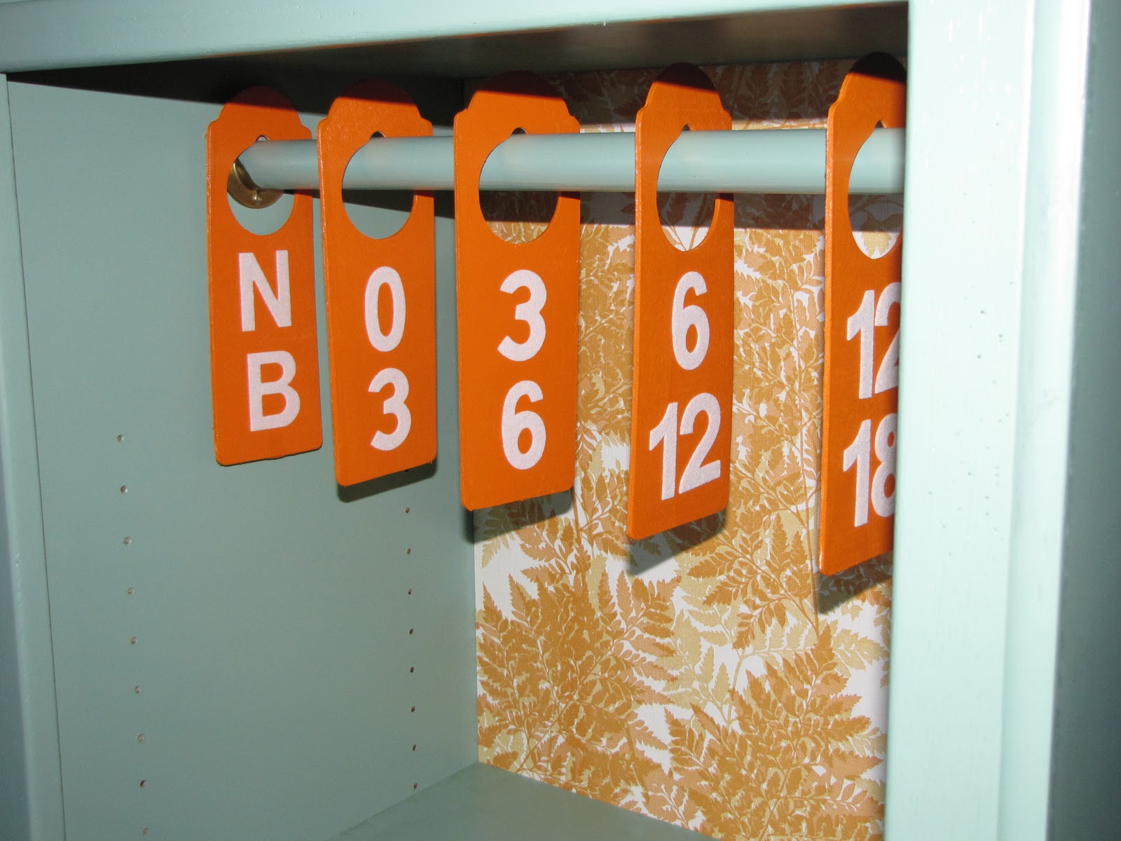 wispy-house-size-dividers-for-infant-s-closet
