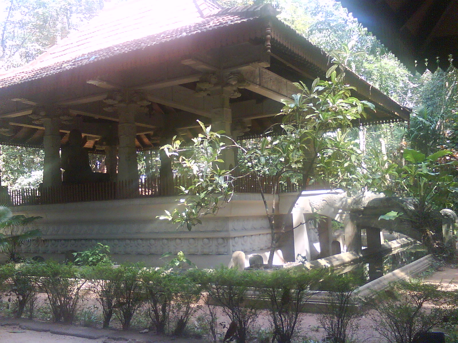 Thapowanaya