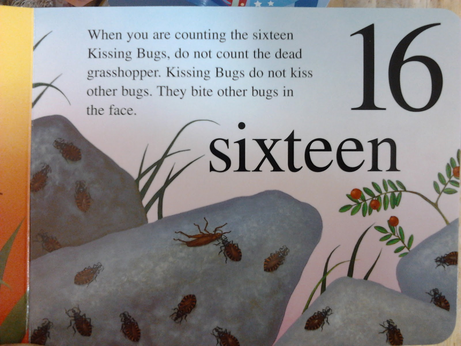 The Icky Bug Counting Book: A book report