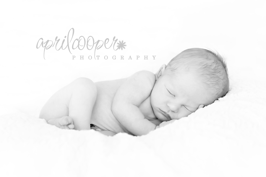 April Cooper Photography Newborn, Child, & Family Photographer ...