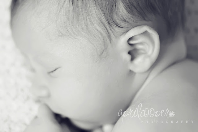 April Cooper Photography Newborn, Child, & Family Photographer ...