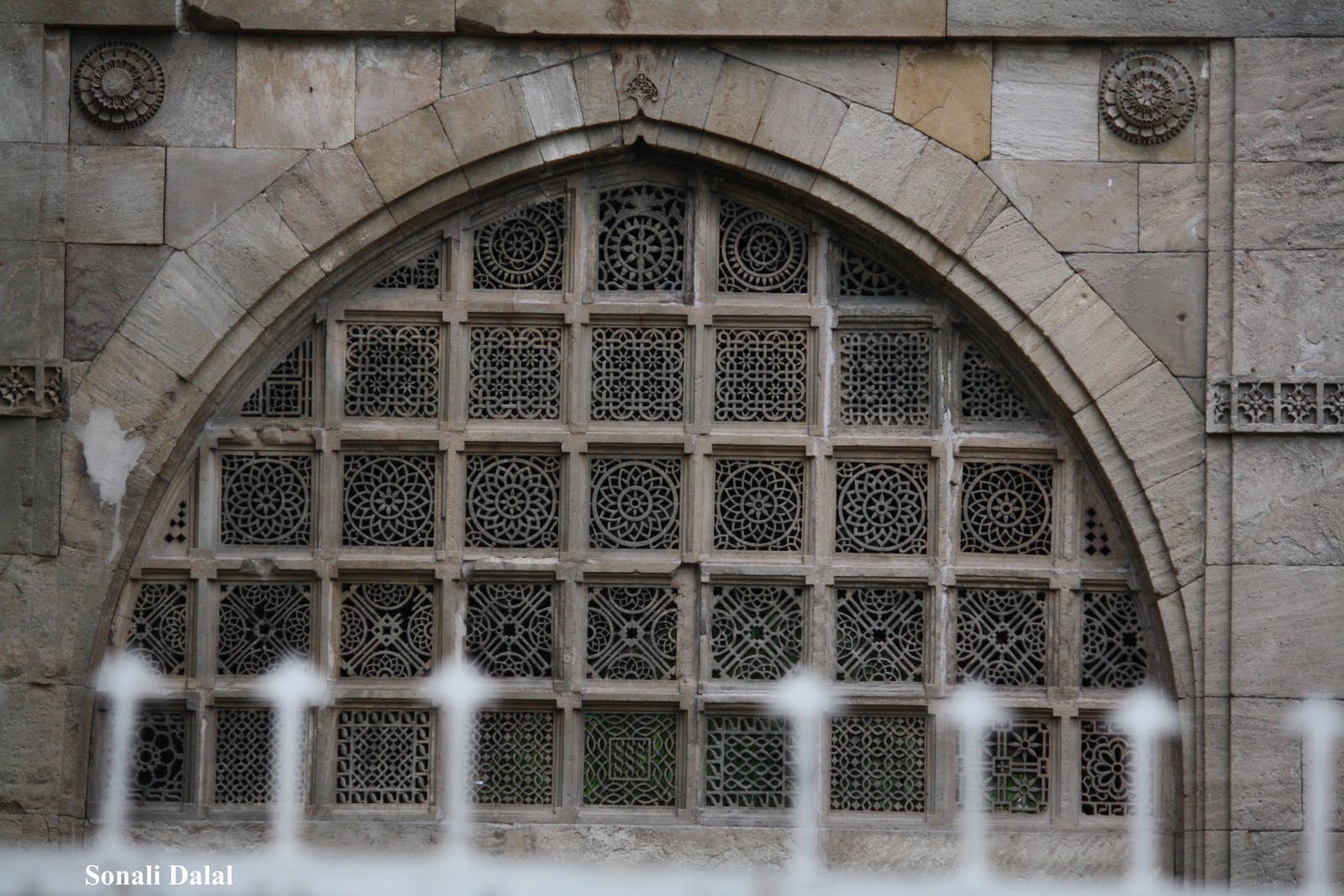 Photography and beyond: Sidi Saiyad's Jali (Lattice Window), Ahmedabad ...
