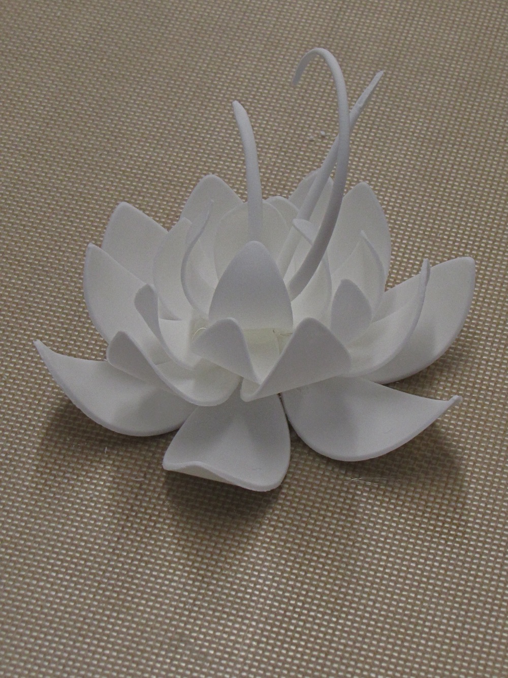 Eva's Pastry Journal: Pastillage and the French Pastry School