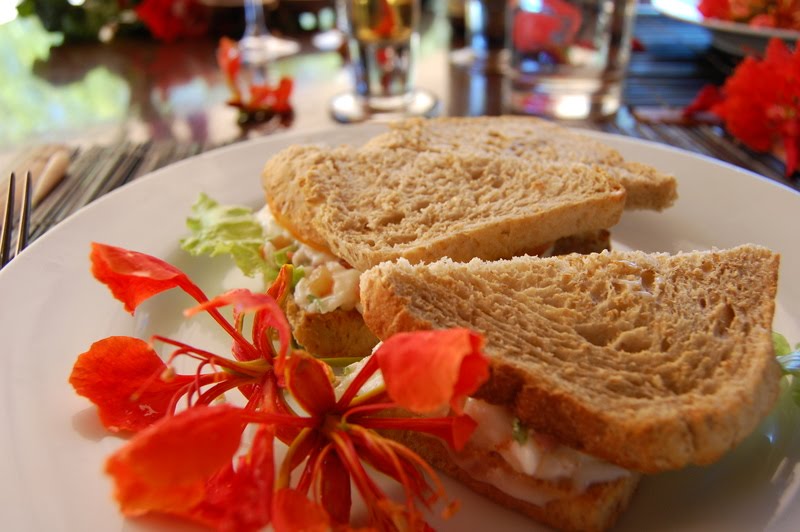 BLONDERLUST: Thanksgiving in Paradise Part 3: Navutu Stars Resort Fiji