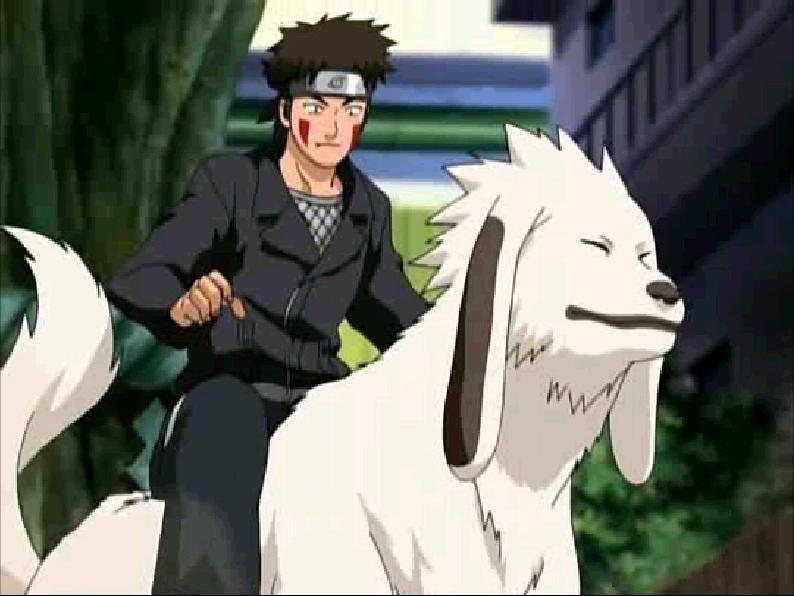 Bilinick: Akamaru
