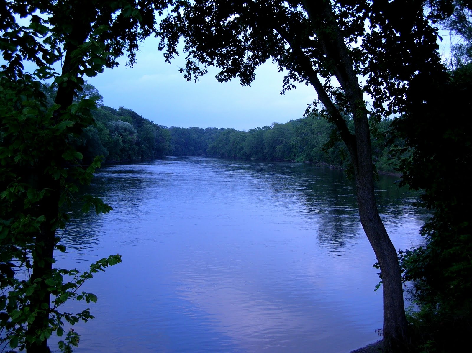 Get Your Botany On!: River Scenes and Plant Quiz