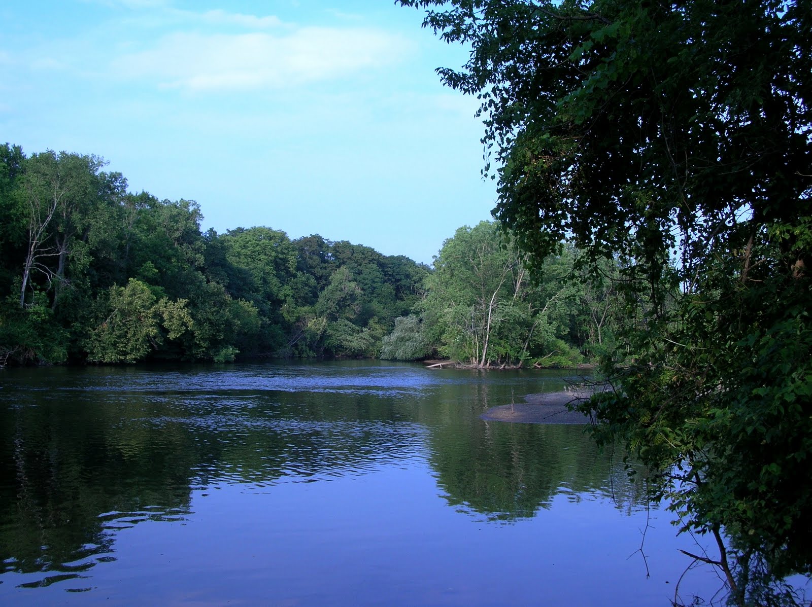 Get Your Botany On!: River Scenes and Plant Quiz