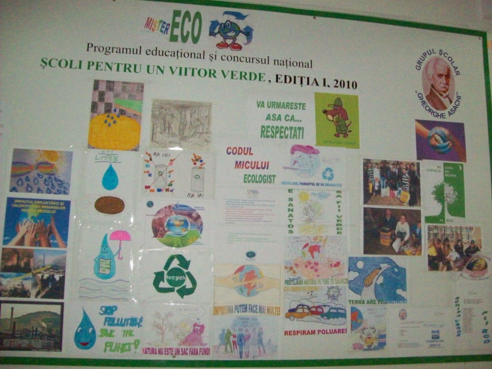 "Scoli pentru un viitor verde!": "Coltul Verde" al Scolii noastre