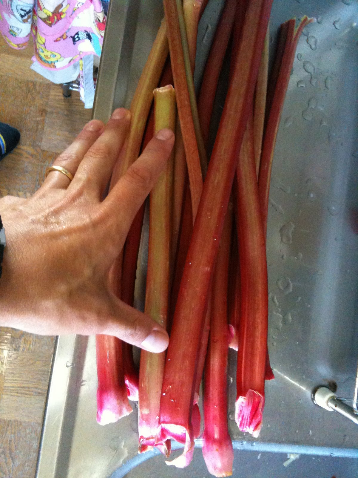 Howdy English: Rhubarb and Haskap Jam!