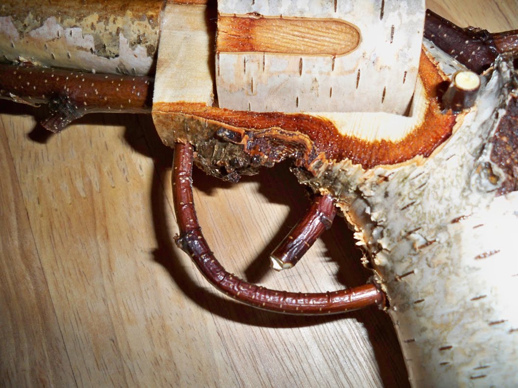 KW Monsters Blog of Evil: TREE BRANCH GUN