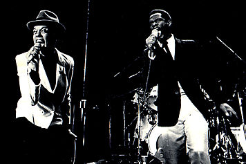 Marco On The Bass: Exclusive: Interview With Pauline Black Of The Selecter