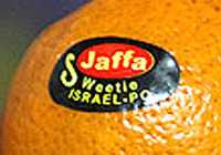 London Art News: April 2009