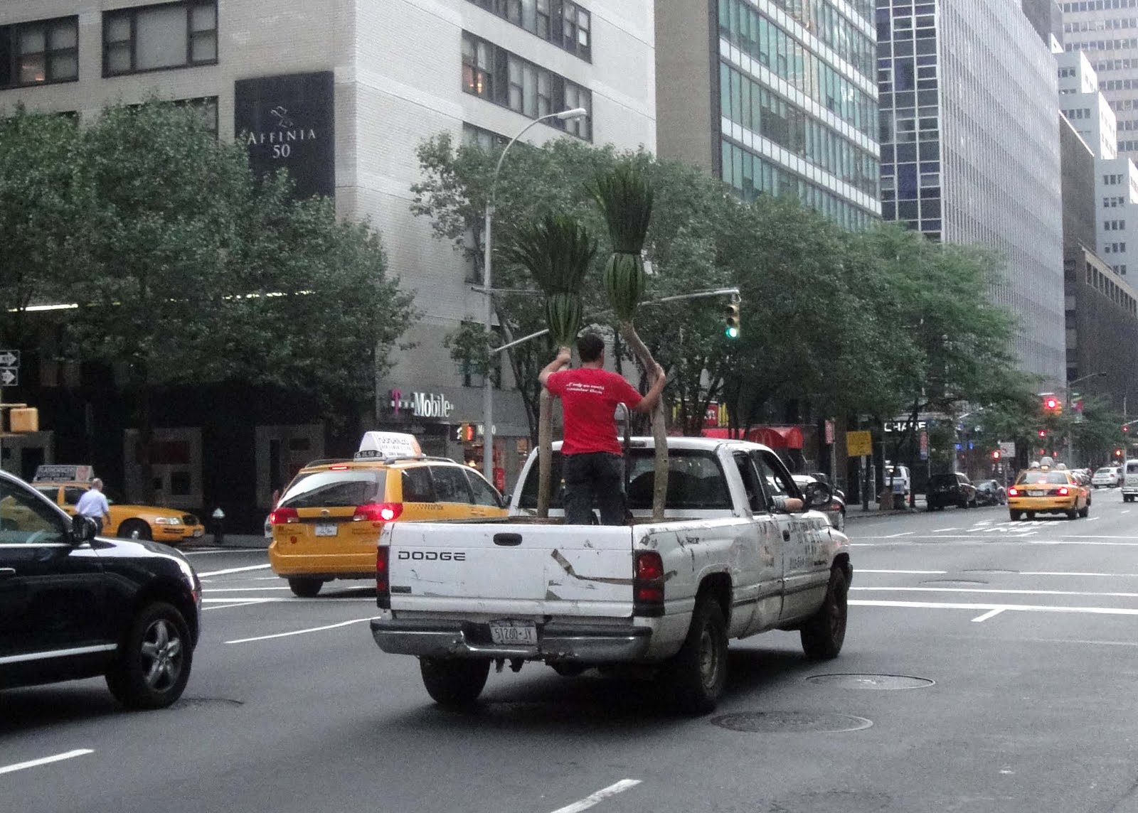 Brock's Blog: Truck Trees