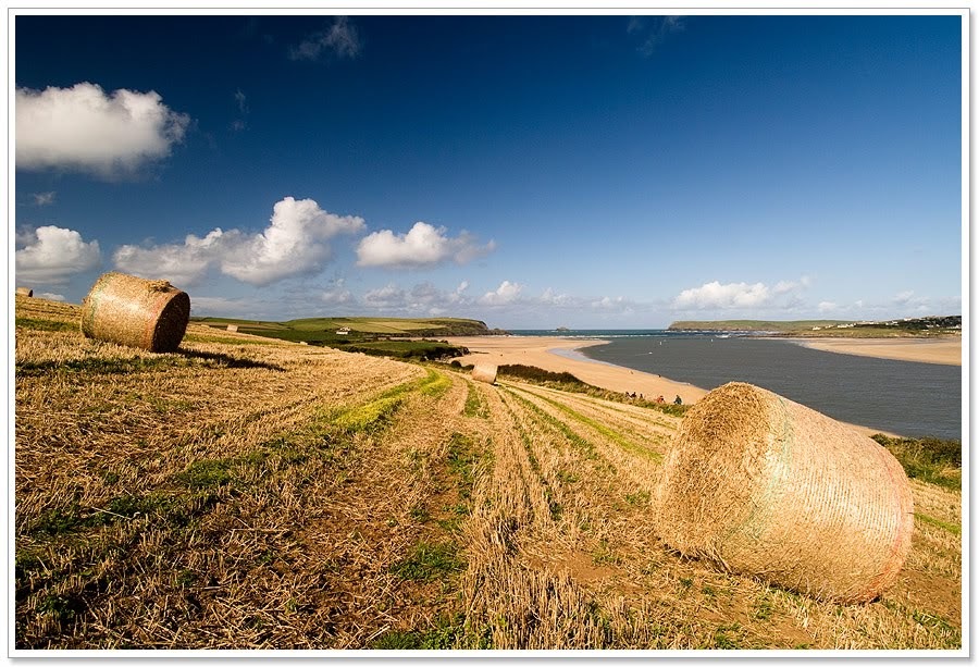 WEST COAST PASTY: PRODUKTE