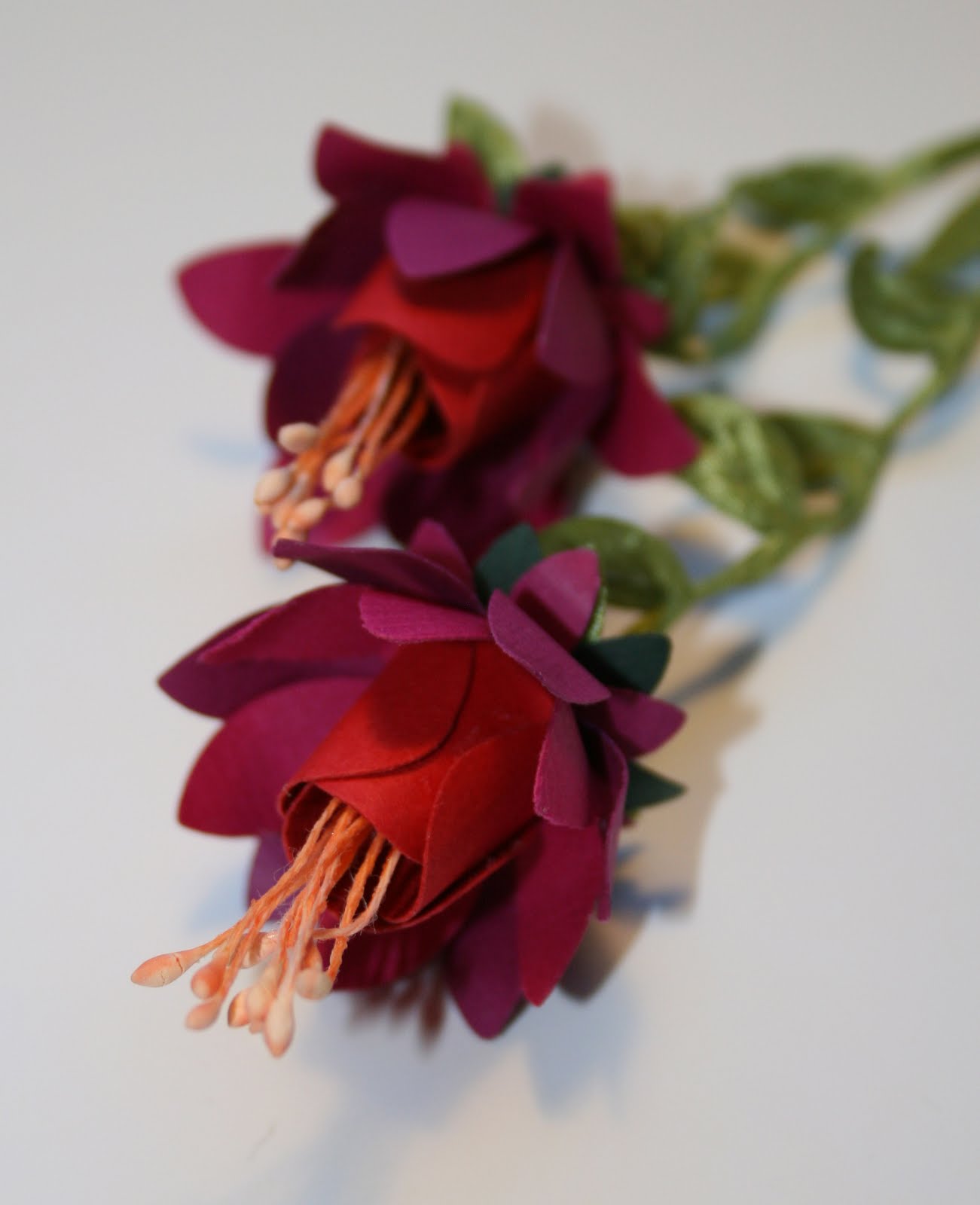 From one extreme…. – Laura Denison Designs