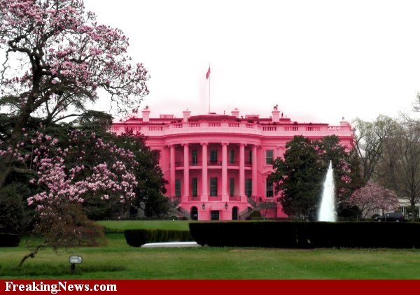 Pink Dream's Rainbow: Pink Houses