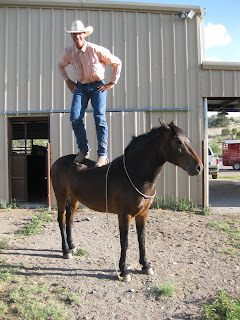 Teryn Muench Performance Horses: Mustang Makeover Work