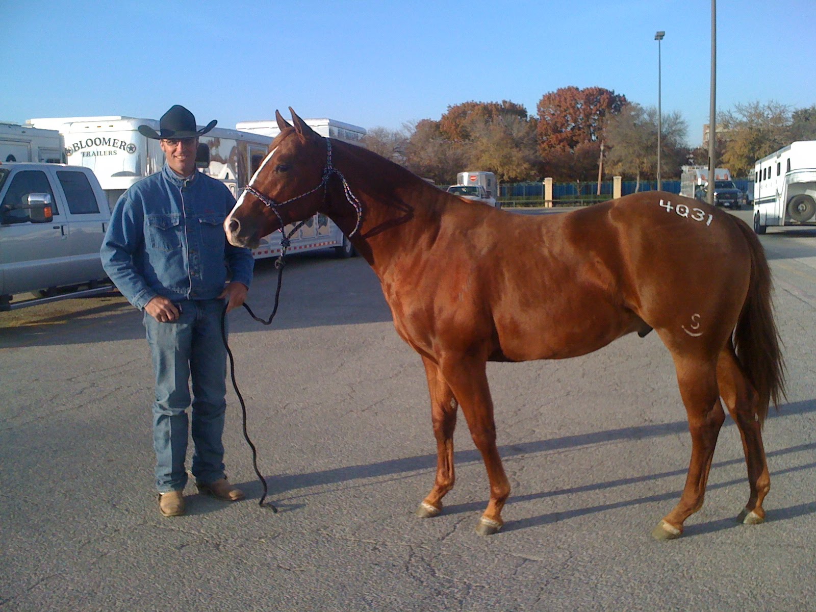 Teryn Muench Performance Horses