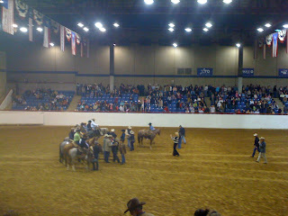 Teryn Muench Performance Horses