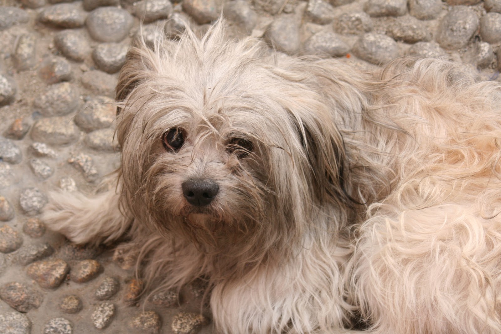 Joche Wizlo: Day 3: La Paz