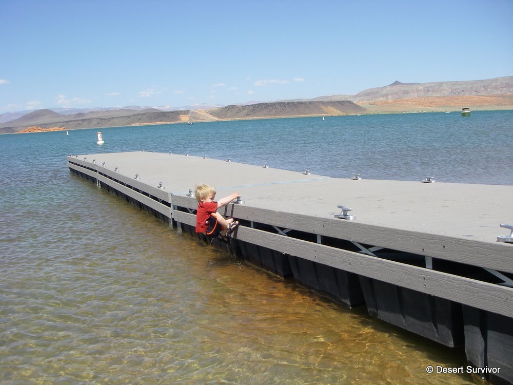 Desert Survivor: Sand Hollow Reservoir