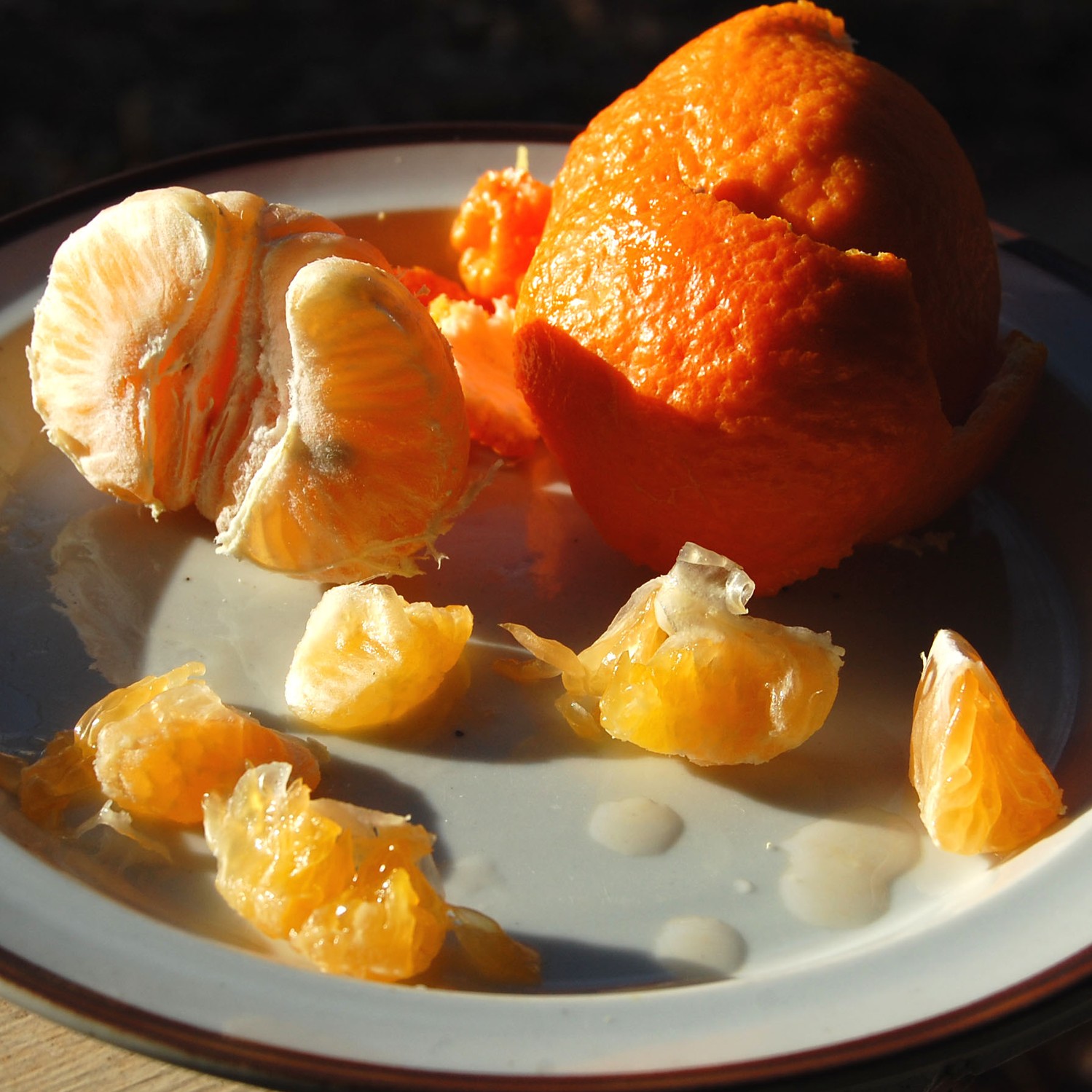 CalliopeCreations: Tangerines