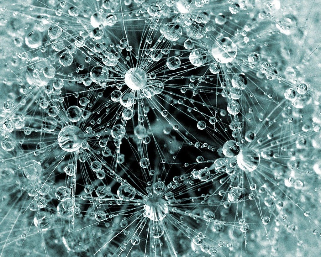 Los colegios de matemáticas: Principios de Gelman y Gallistel. Actividad.