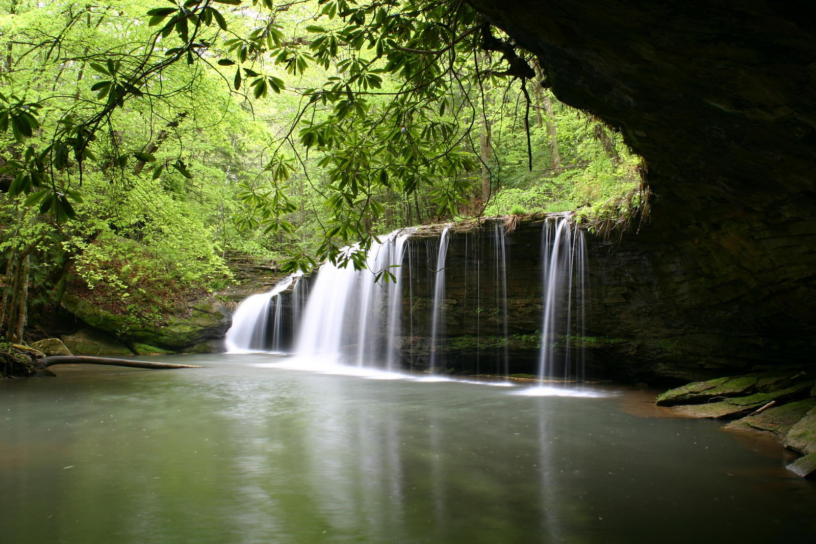 Eco-Values: Princess Falls