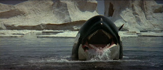 Cool Ass Cinema: Orca (1977) review
