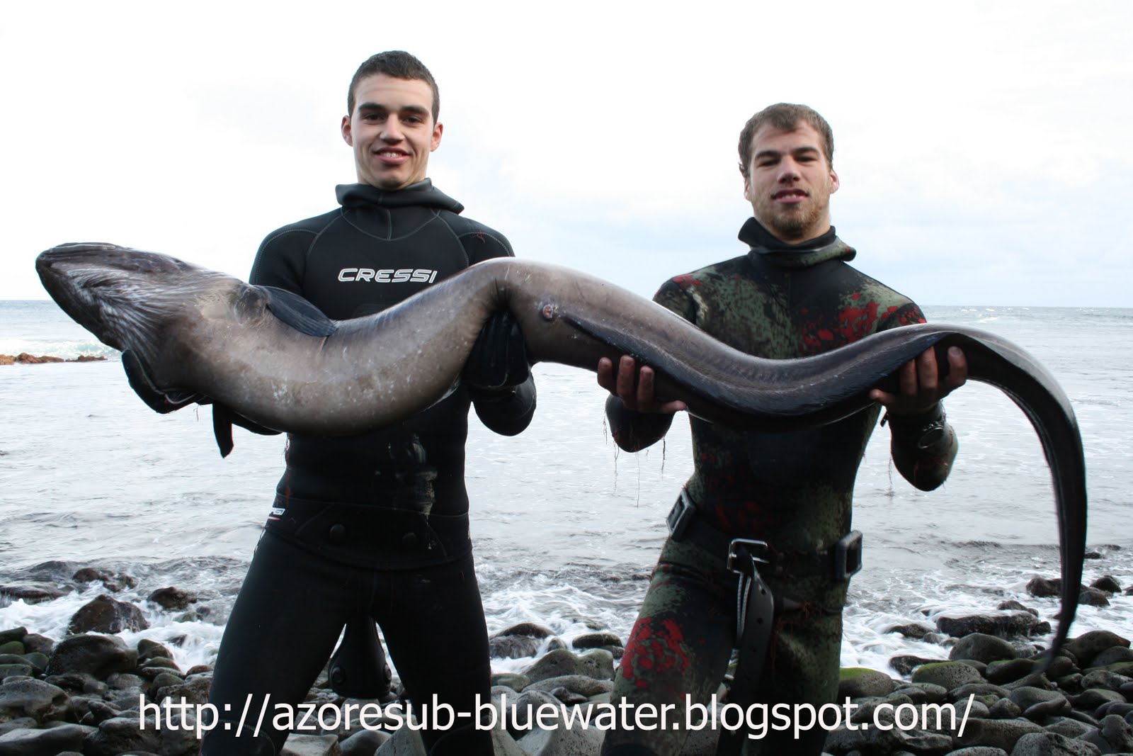 Azoresub: Trabalho em equipa resultou neste lindo Safio