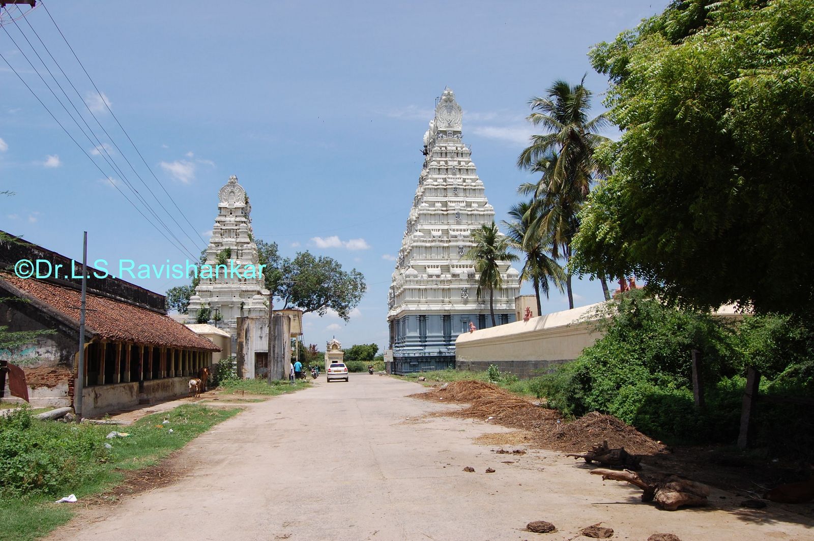 Bhringi - JungleKey.in Image