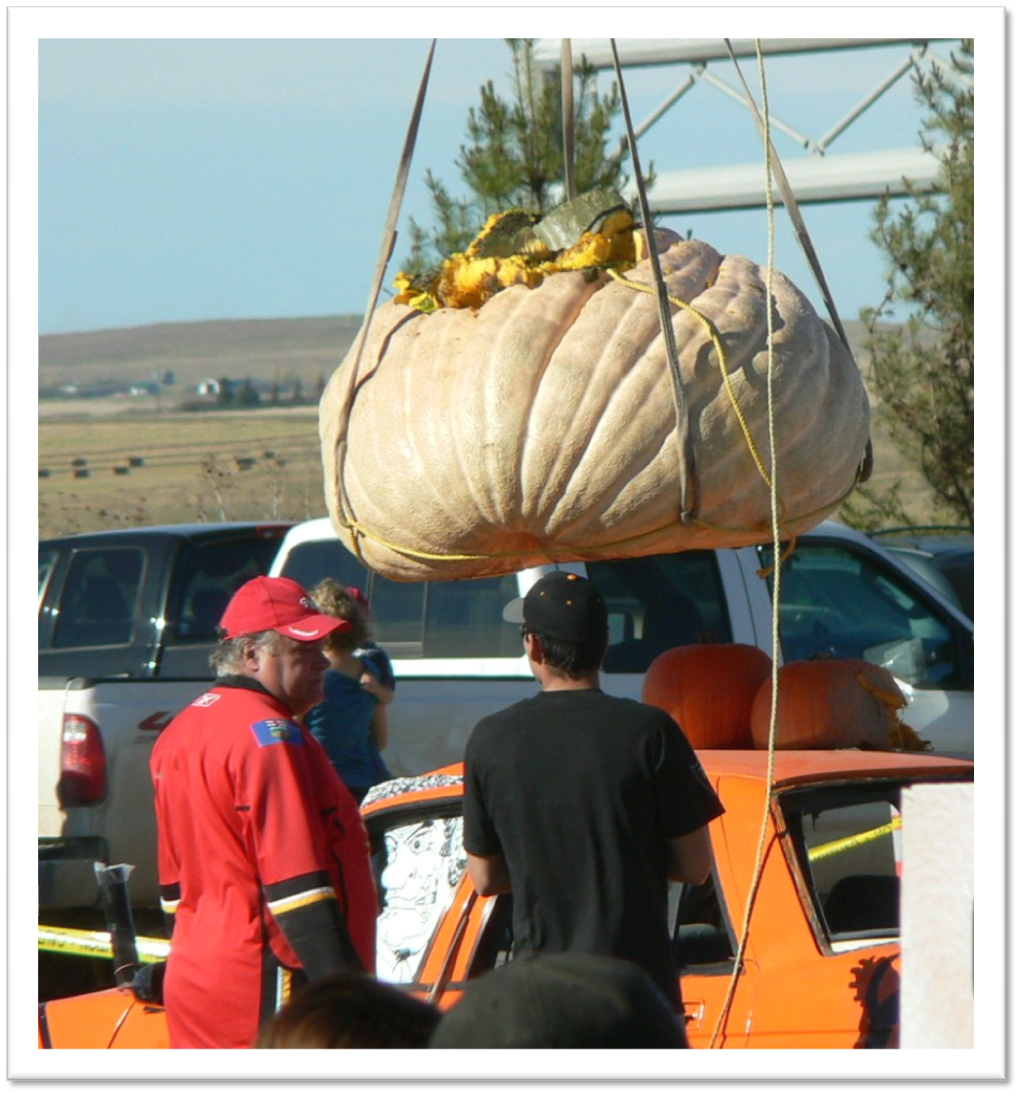 Paradigm Percherons: Alberta Children benefit from Pumpkins & Percherons