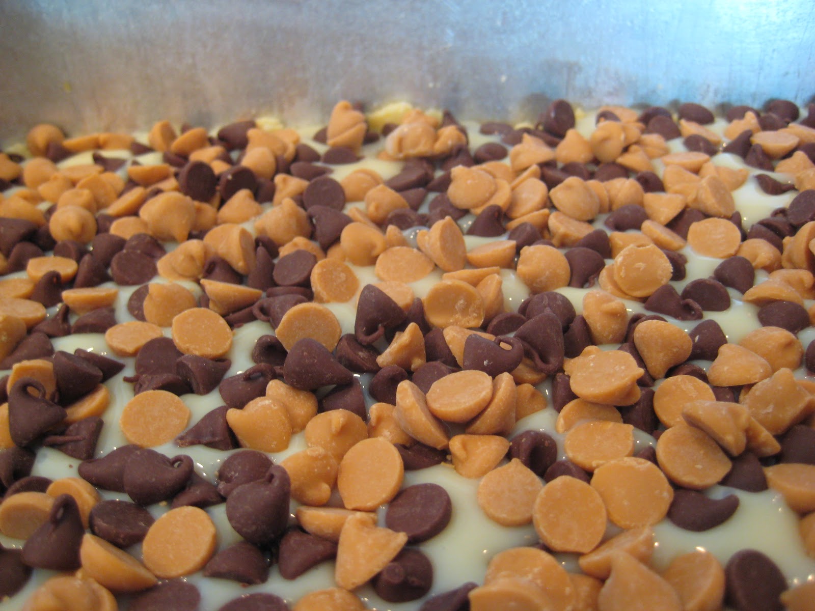 From Scratch: ::Ooie Gooie Bars::