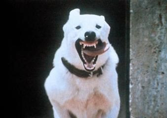 Mike's Movie Reviews: White Dog (1982)