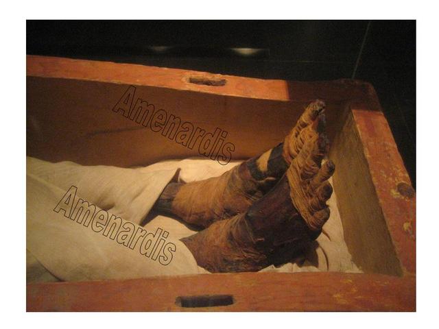 Reminiscencias Egipcias: MUSEO - SALA DE LAS MOMIAS REALES